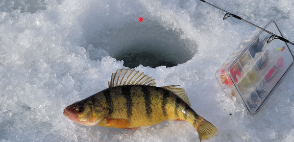 The Basic Ice Fishing Gear for Beginners | Basstrike
